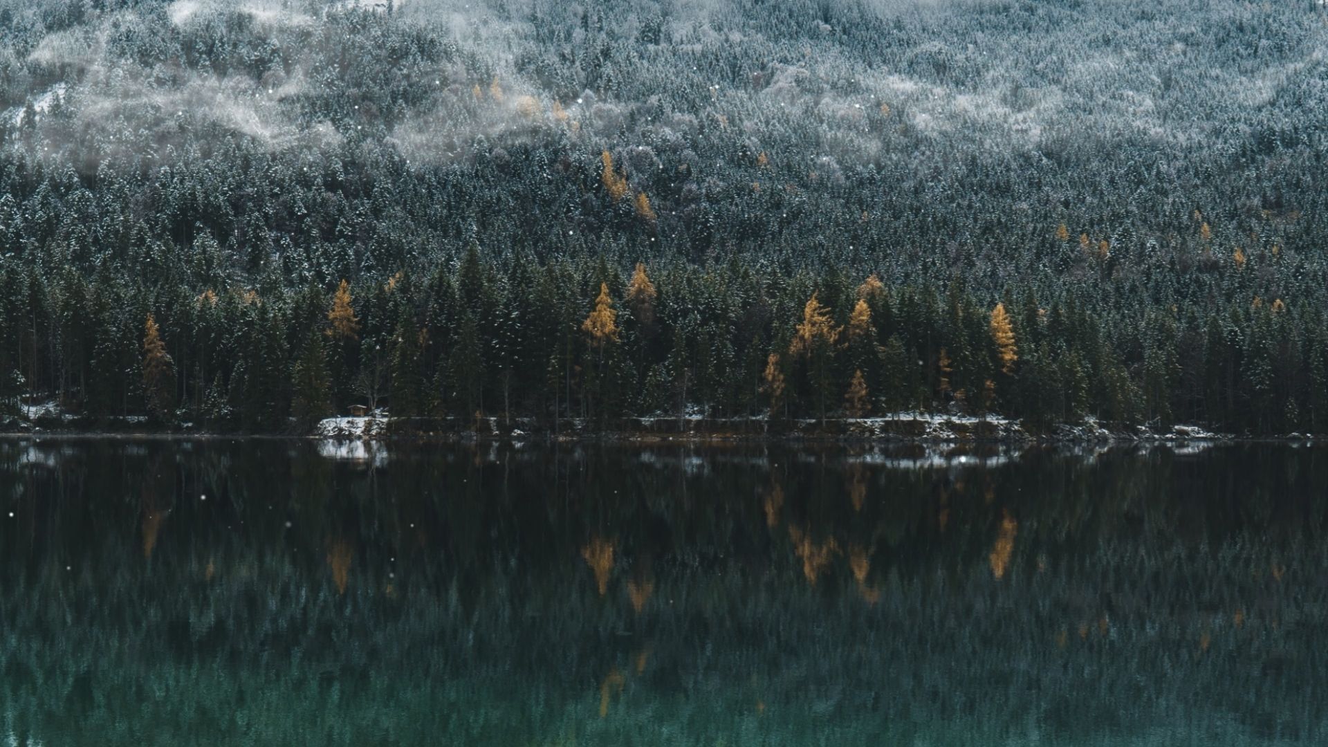 Fondos de pantalla de Bosques para PC, Android & iPhone.