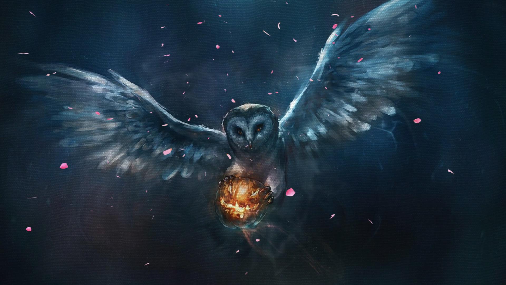 Fotos Fondos De Pantalla De Búhos